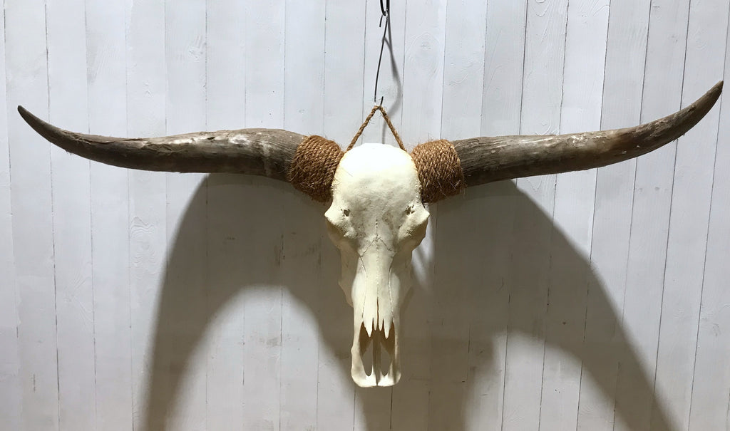 Vintage Long Horn Skull Wall Mount # 4194 – Fossil Vintage Australia